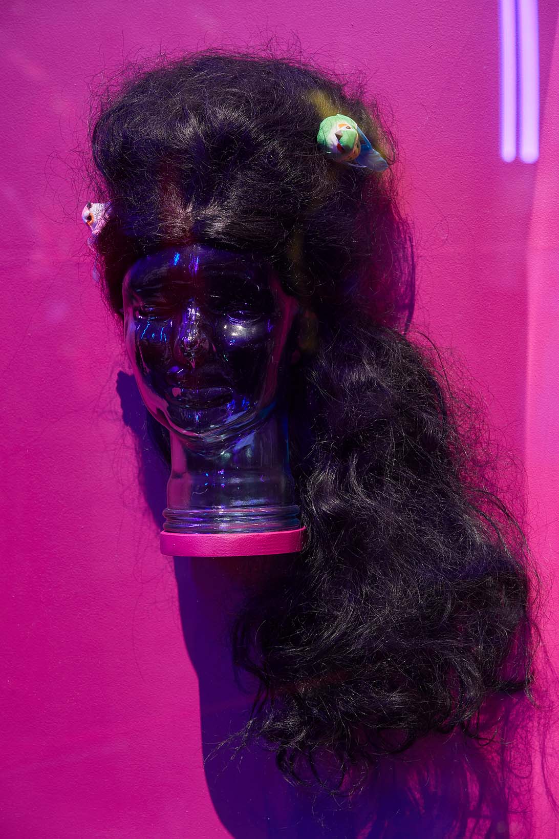 エイミー：ステージの向こう側 | FRED PERRY JAPAN | フレッドペリー日本公式サイト